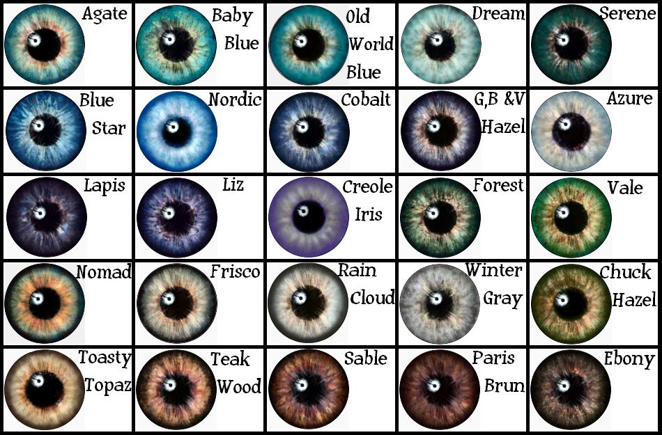 Whats Your Eye Color Mines D 37 Funny Wooden House Nice Design Diy