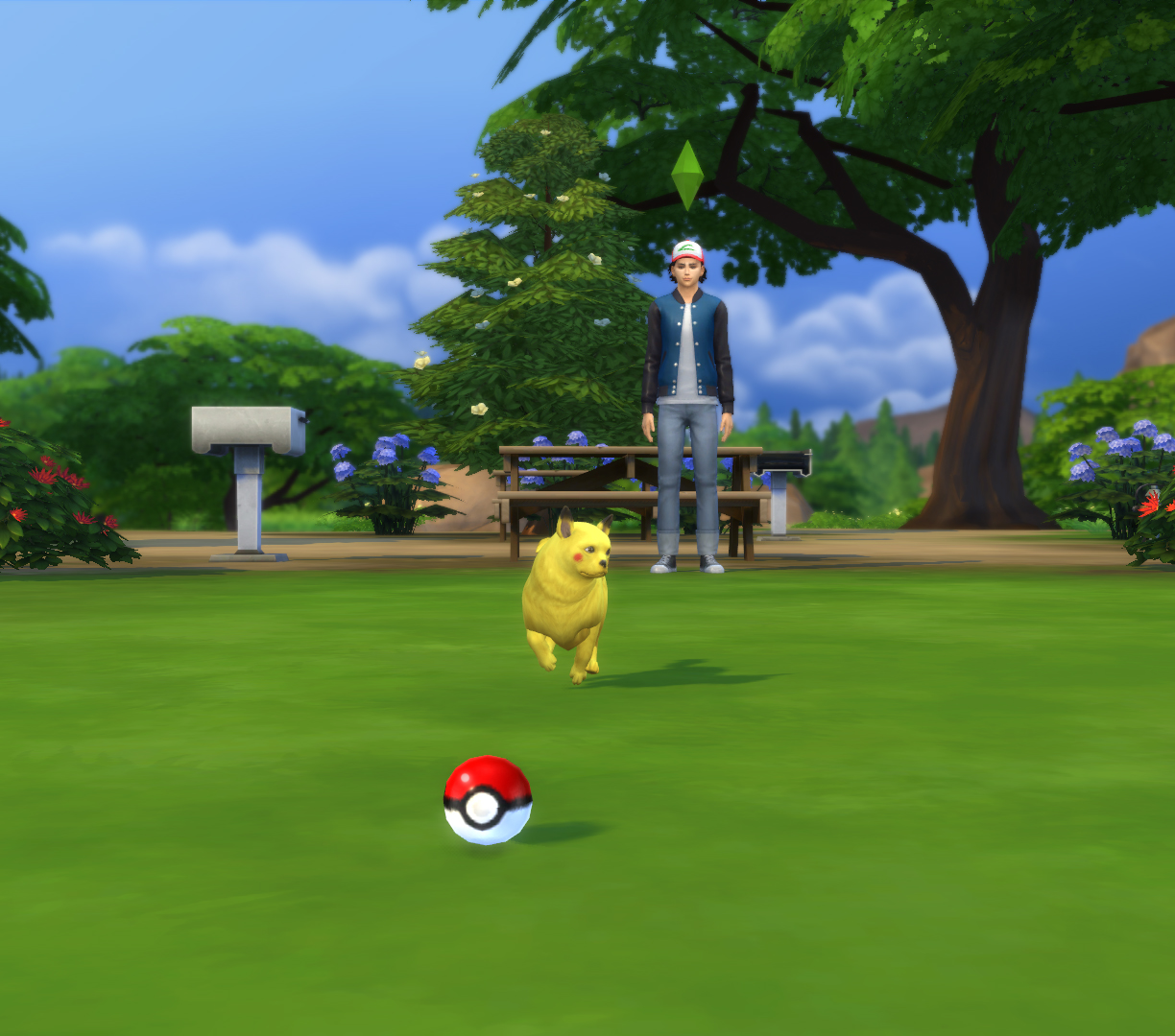 Mod The Sims - Poké Ball Pet Toy - 10 Colors & 2 Bonus Golden Poké Balls!
