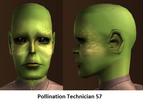 Mod The Sims - Multi-PT Package