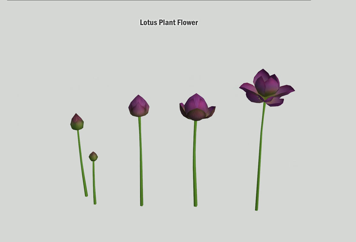 Mod The Sims - Lotus Plant