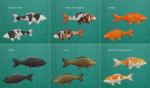 Mod The Sims - Koi Fish