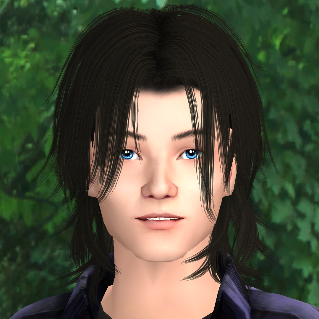 Mod The Sims - Mikhail and Miroslav Medvedev