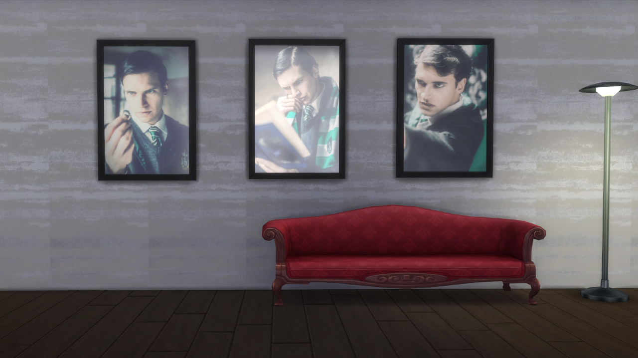 Mod The Sims - Tom Riddle Portrait Collection