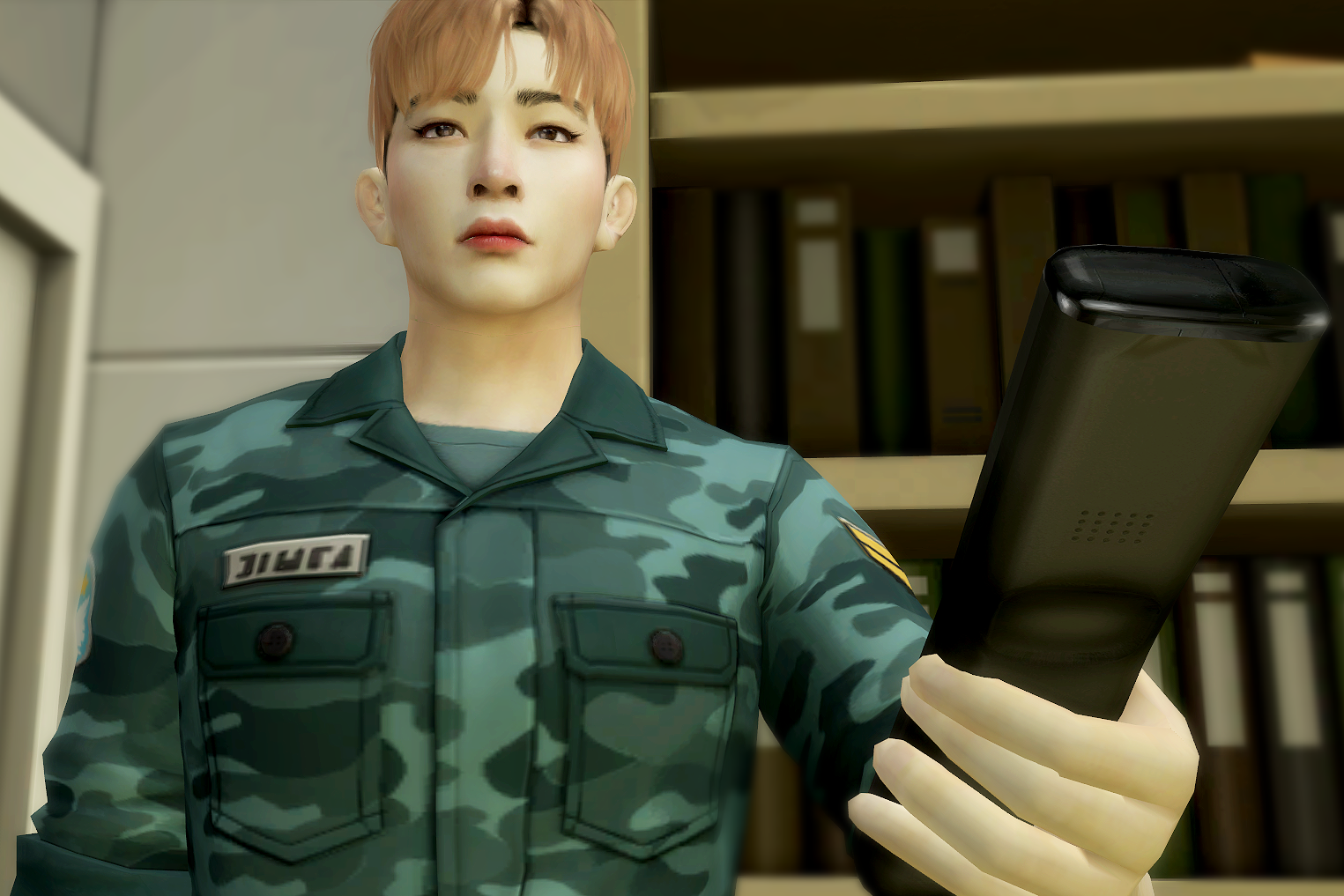 Mod The Sims - Default Replacement Remote Control