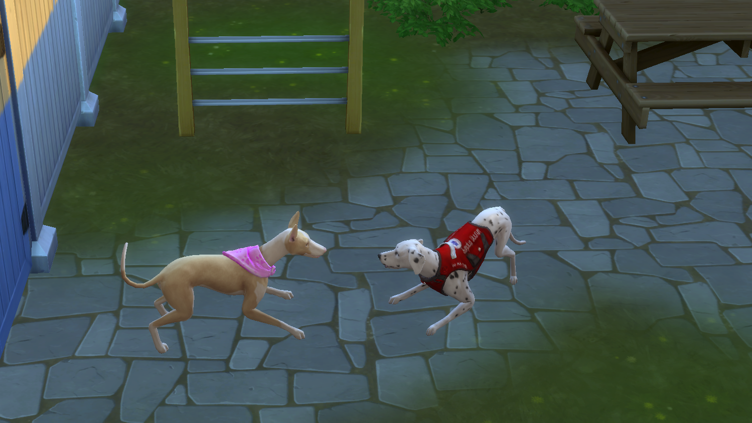 Mod The Sims - Service Dog Harnesses and Bandanas - Simlish Version