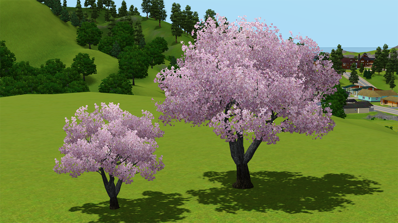 Mod The Sims - Cherry Blossom Tree DR