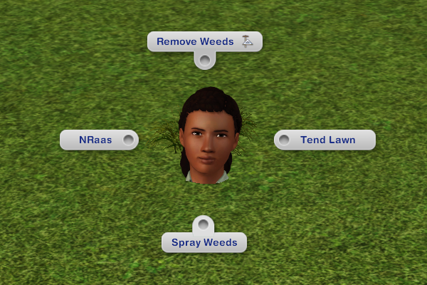 Mod The Sims - Lawn Care (Update 8/5/25) - Tend Lawn Fix