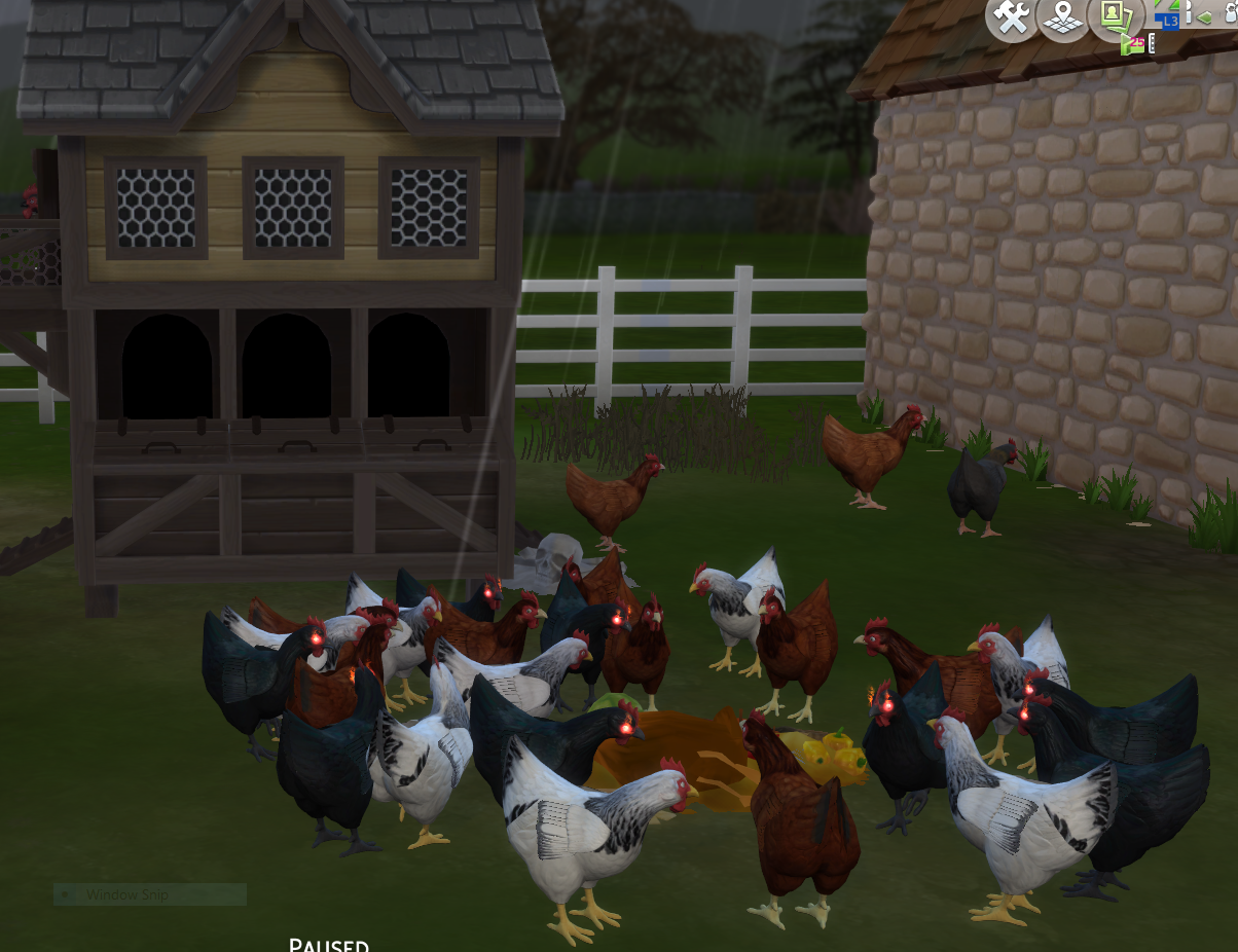 Mod The Sims - Three REAL hen breeds!