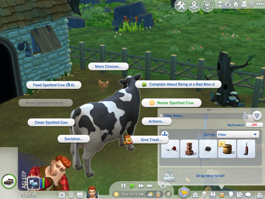 Mod The Sims - More suggested names for bunnies, llamas, cows and chickens