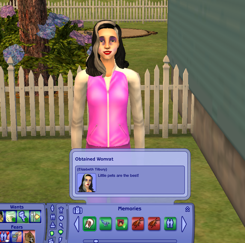 Mod The Sims - Custom Memories