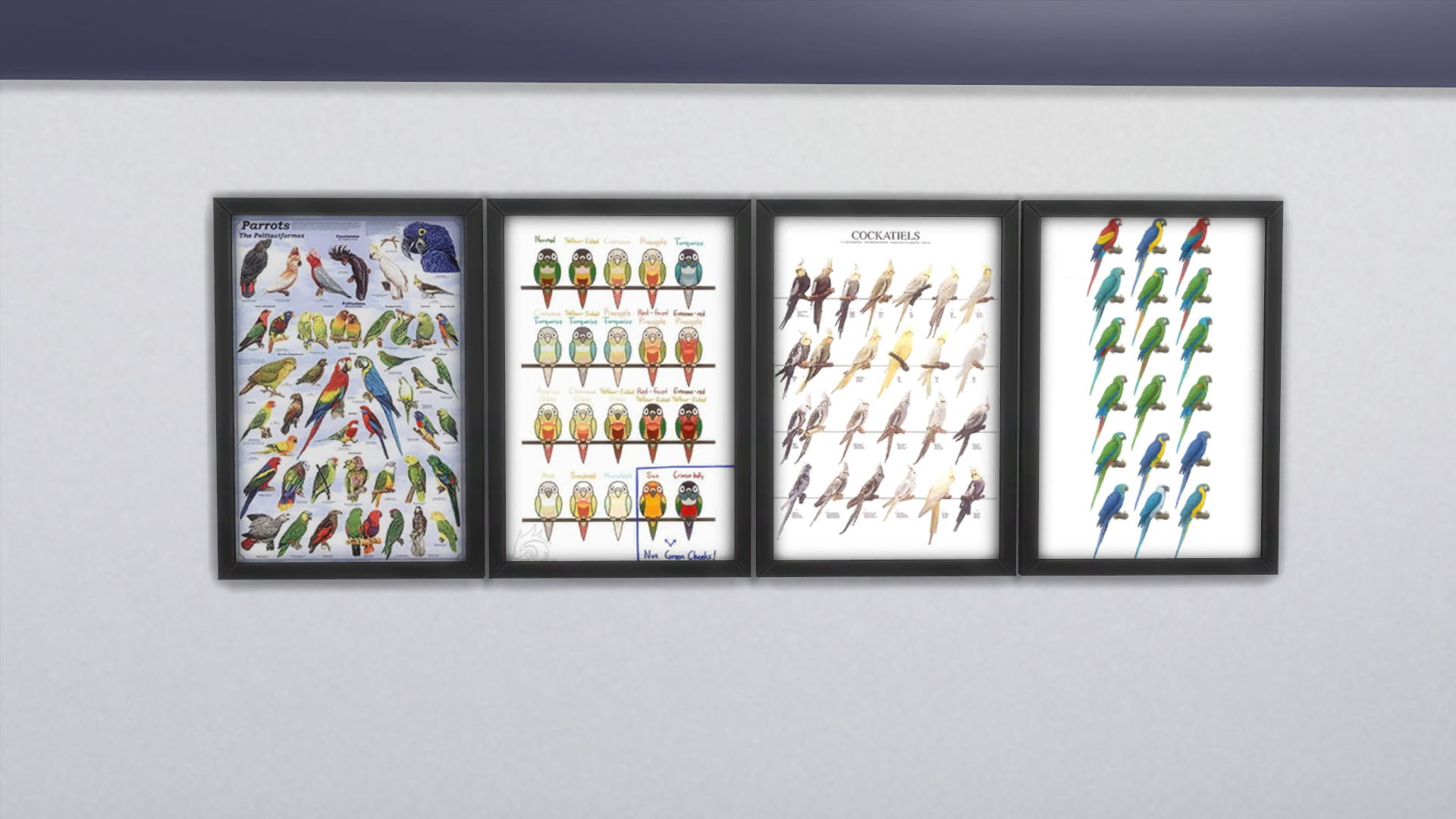 Mod The Sims - The Sims 4 Parrot CC Pack