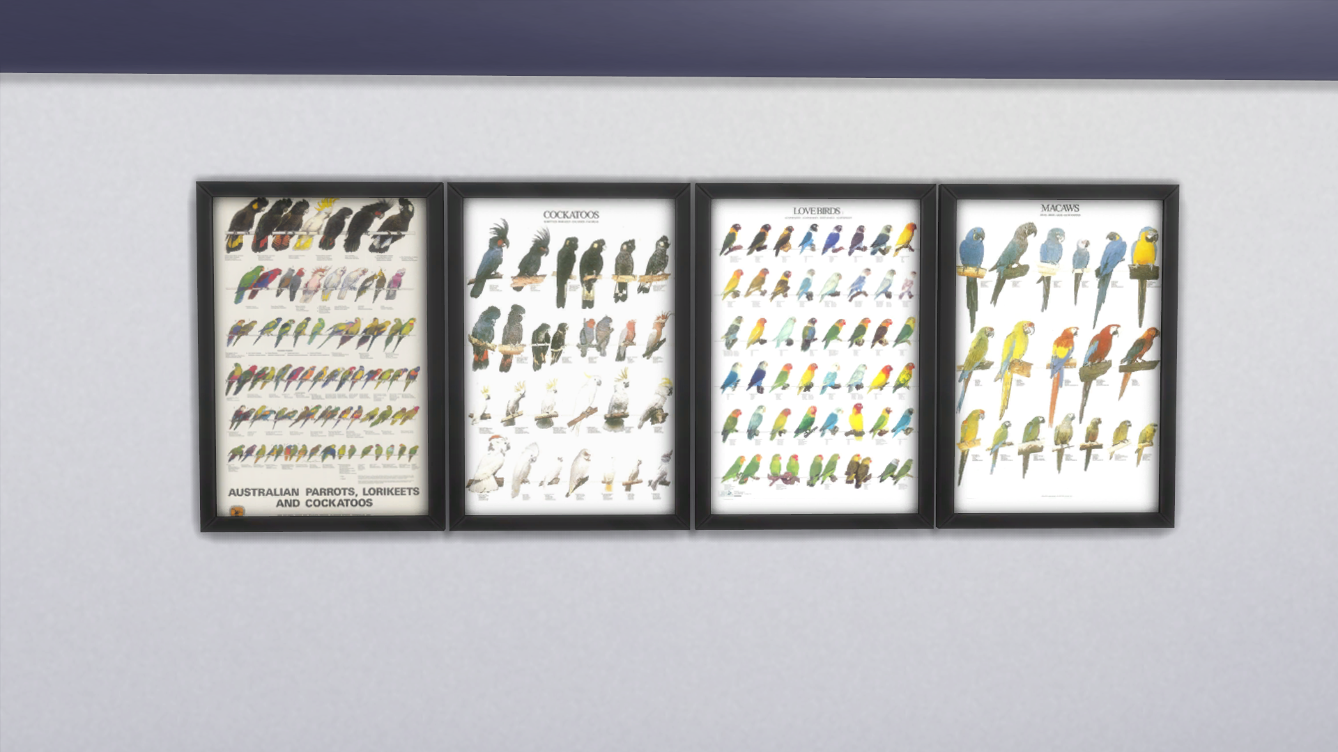 Mod The Sims - The Sims 4 Parrot CC Pack