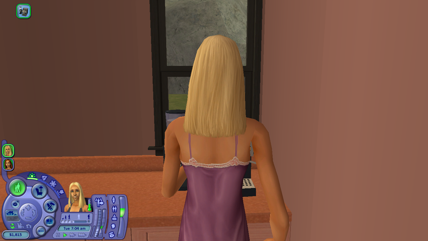 Mod The Sims - Live Cameras with 1st, 2nd & 3rd person perspective ...