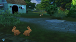 Mod The Sims - Wild Rabbits Only - Multiple Options!