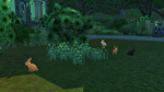 Mod The Sims - Wild Rabbits Only - Multiple Options!