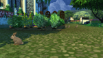 Mod The Sims - Wild Rabbits Only - Multiple Options!