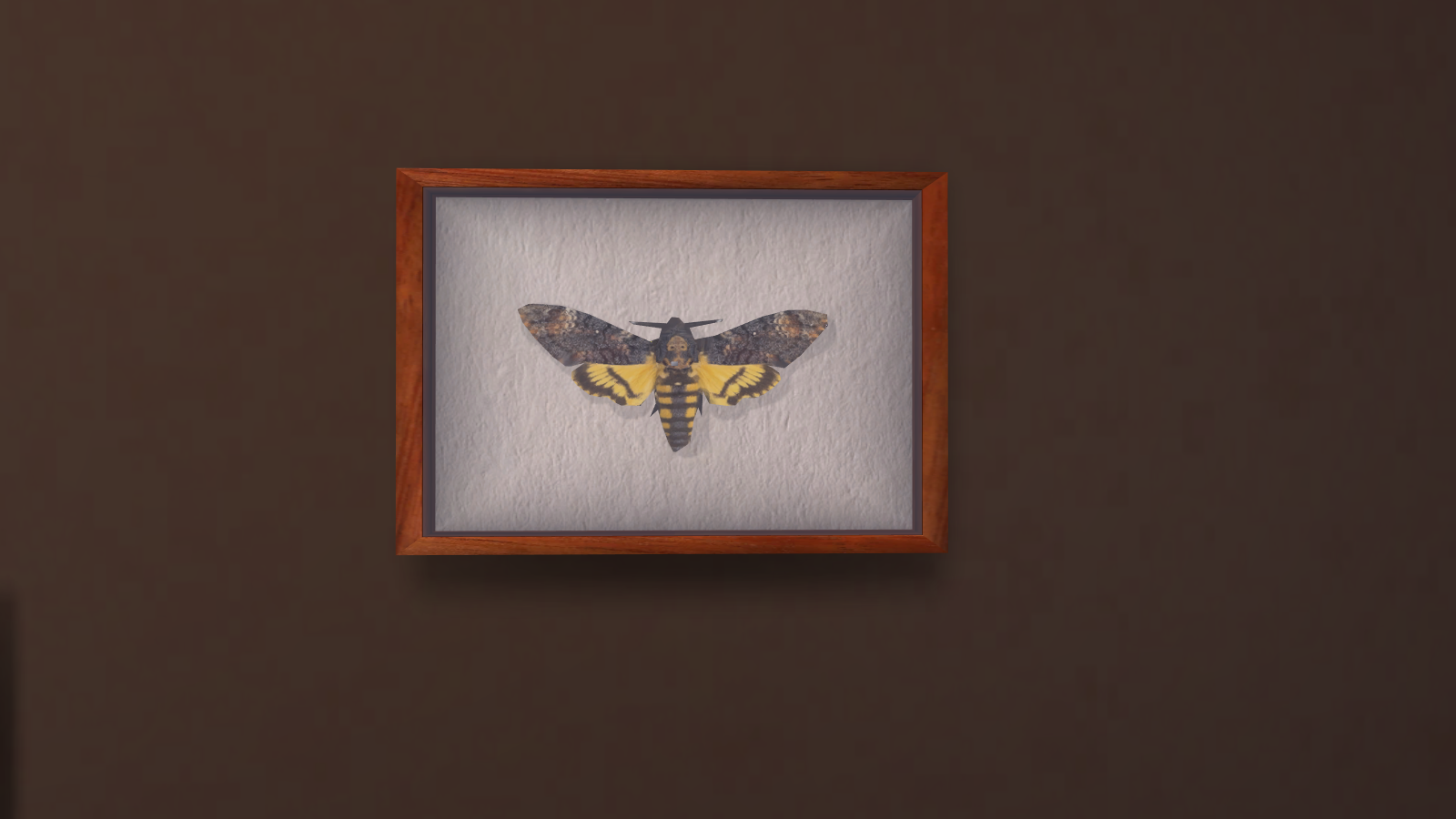 Mod The Sims - Insect Collection Shadow Boxes
