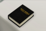 Mod The Sims - The Bible [CC] Functional