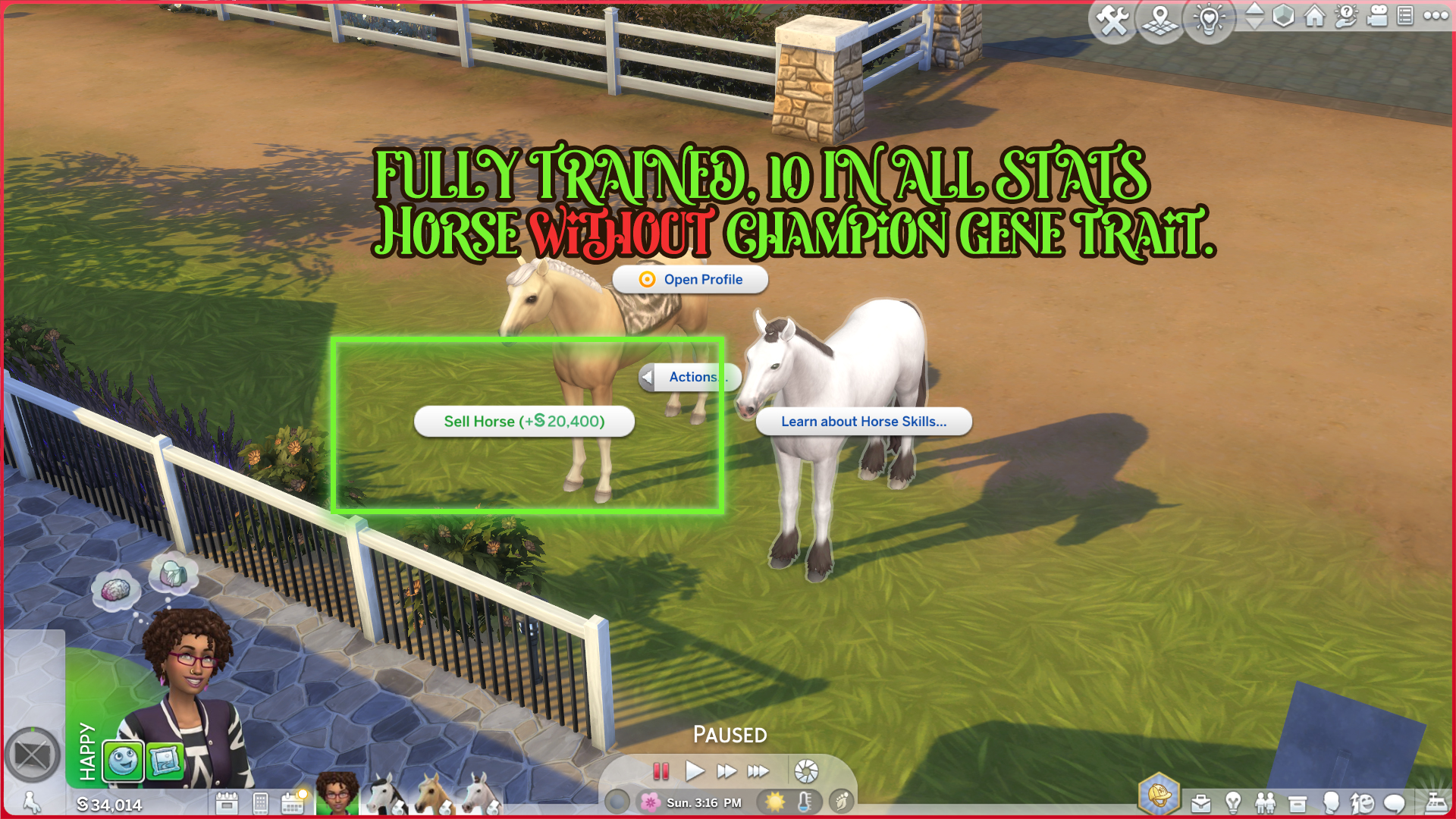 Mod The Sims - Better Champion Gene Trait