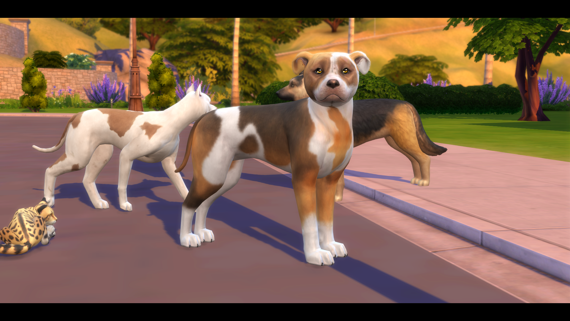 Mod The Sims - Cats & Dogs Eyes V2