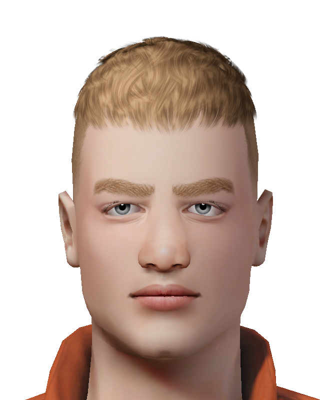 Mod The Sims - Hair Color Presets - Default Replacement
