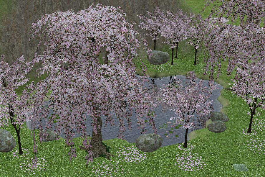 Mod The Sims - Two Sakura Blossom Trees with Falling Petal Effect