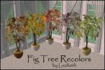 Mod The Sims - Fig Tree Collection