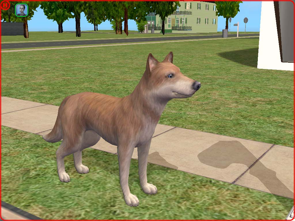 Mod The Sims - Red Siberian Husky
