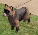 Mod The Sims - Raccoon Dog / Tanuki