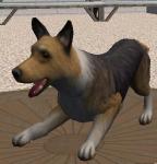 Mod The Sims - Pembroke Welsh Corgi