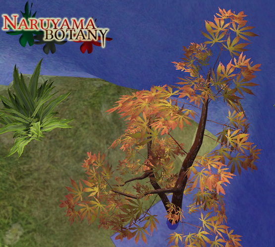 Mod The Sims - Naruyama Botany: Realistic Japanese Maple in 2 Colors ...