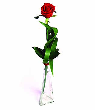 Mod The Sims - Red Rose