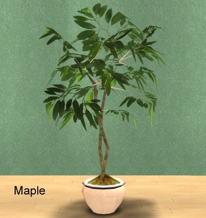 Mod The Sims - Fig Trees in Wooden Pots