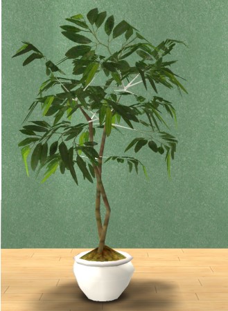 Mod The Sims - Rubber and Fig Tree in Basic Colours