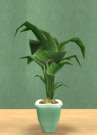 Mod The Sims - 10 Striped Pastel Fig and Rubber Trees