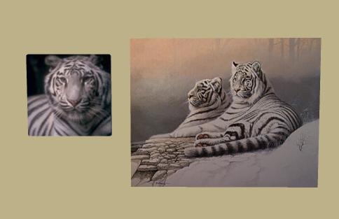 Mod The Sims - Animal Pictures...........