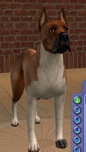 Mod The Sims - new boxer body