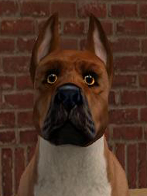 Mod The Sims - new boxer body