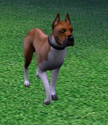 Mod The Sims - new boxer body