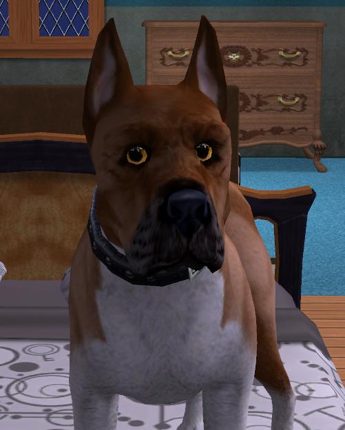 Mod The Sims - new boxer body