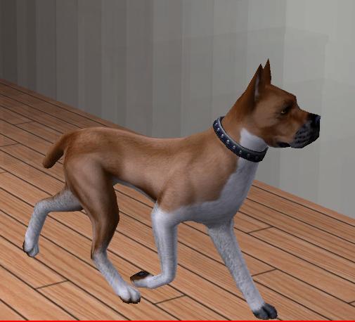 Mod The Sims - new boxer body