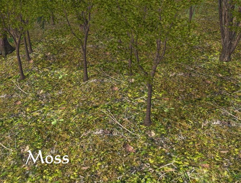 Mod The Sims - 3 forest ground covers (branches, moss, leaves)