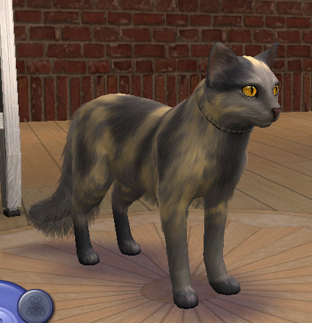 cat sims tattle