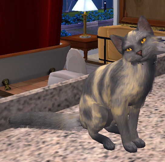 cat sims tattle