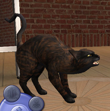 cat sims tattle