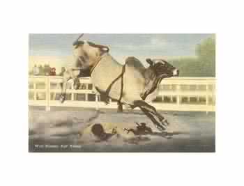 Mod The Sims - "Cowboy Up" Nursery Collection