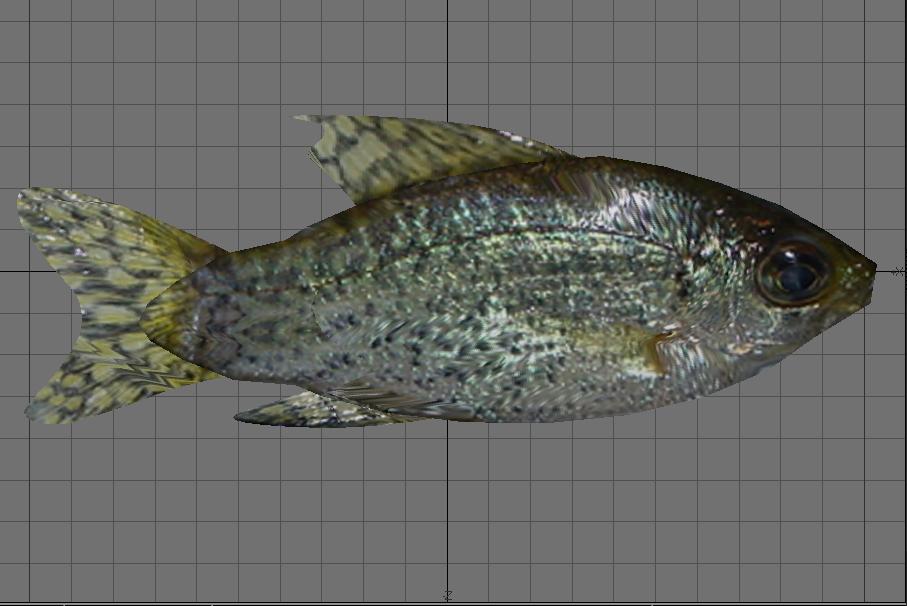 Mod The Sims - A Fresh Dead Fish for Loverat