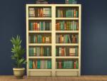 Mod The Sims - Intellectual Bookcases Recolours
