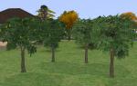 Mod The Sims - Custom Seasons Orchard Trees - Peach and Pear