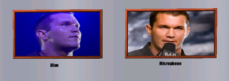 Mod The Sims - Randy Orton